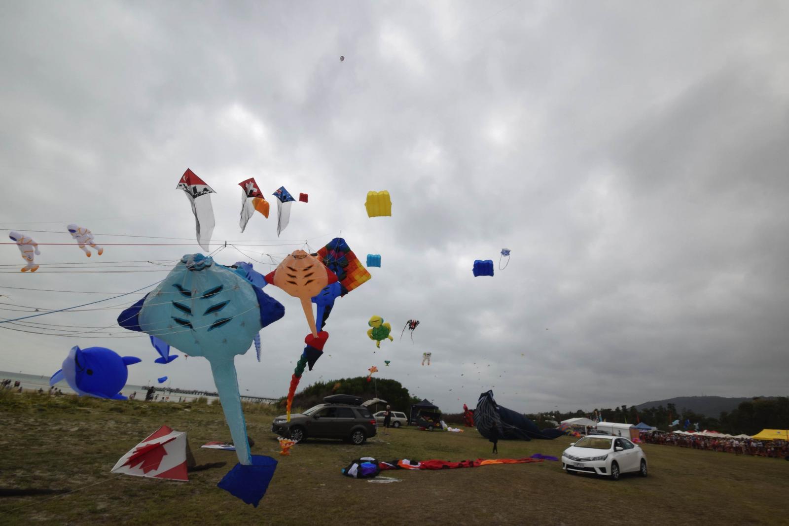 Rays - Event Albums - Extreme Kites